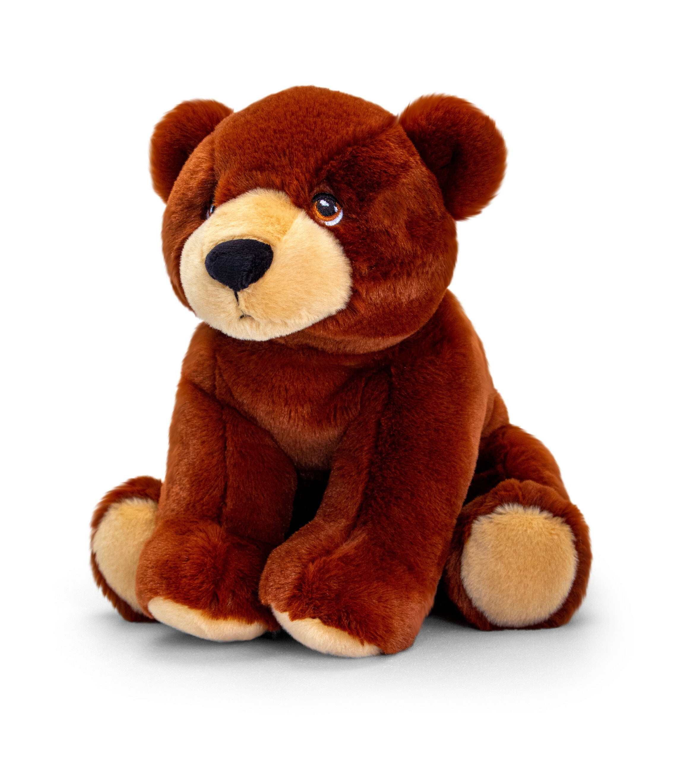 Ted The Bear The Woody And Winter Foundation